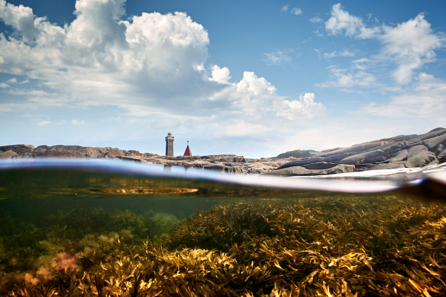I Evert Taubes fotspor i Bohuslän
